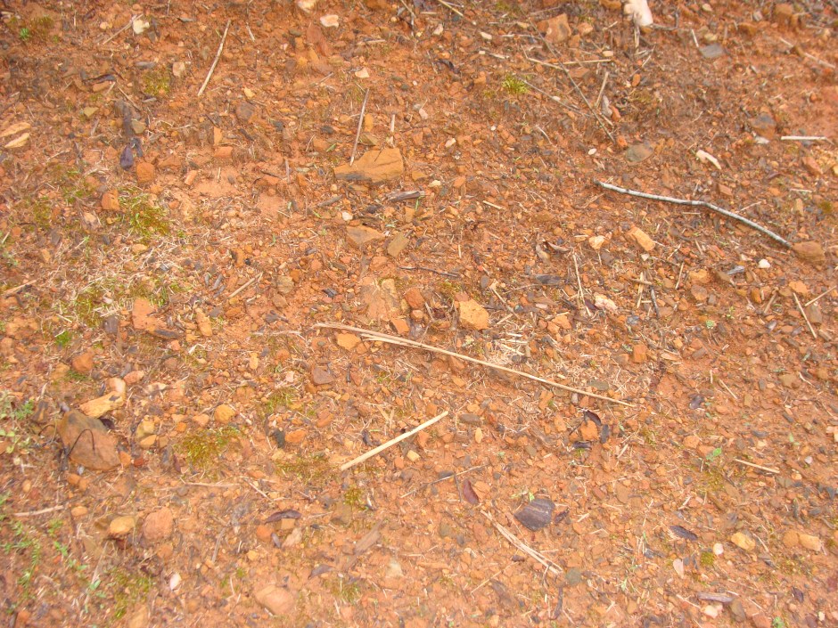 Break Up the Fallow Ground – Hosea 10:12 – Prayer In Every City